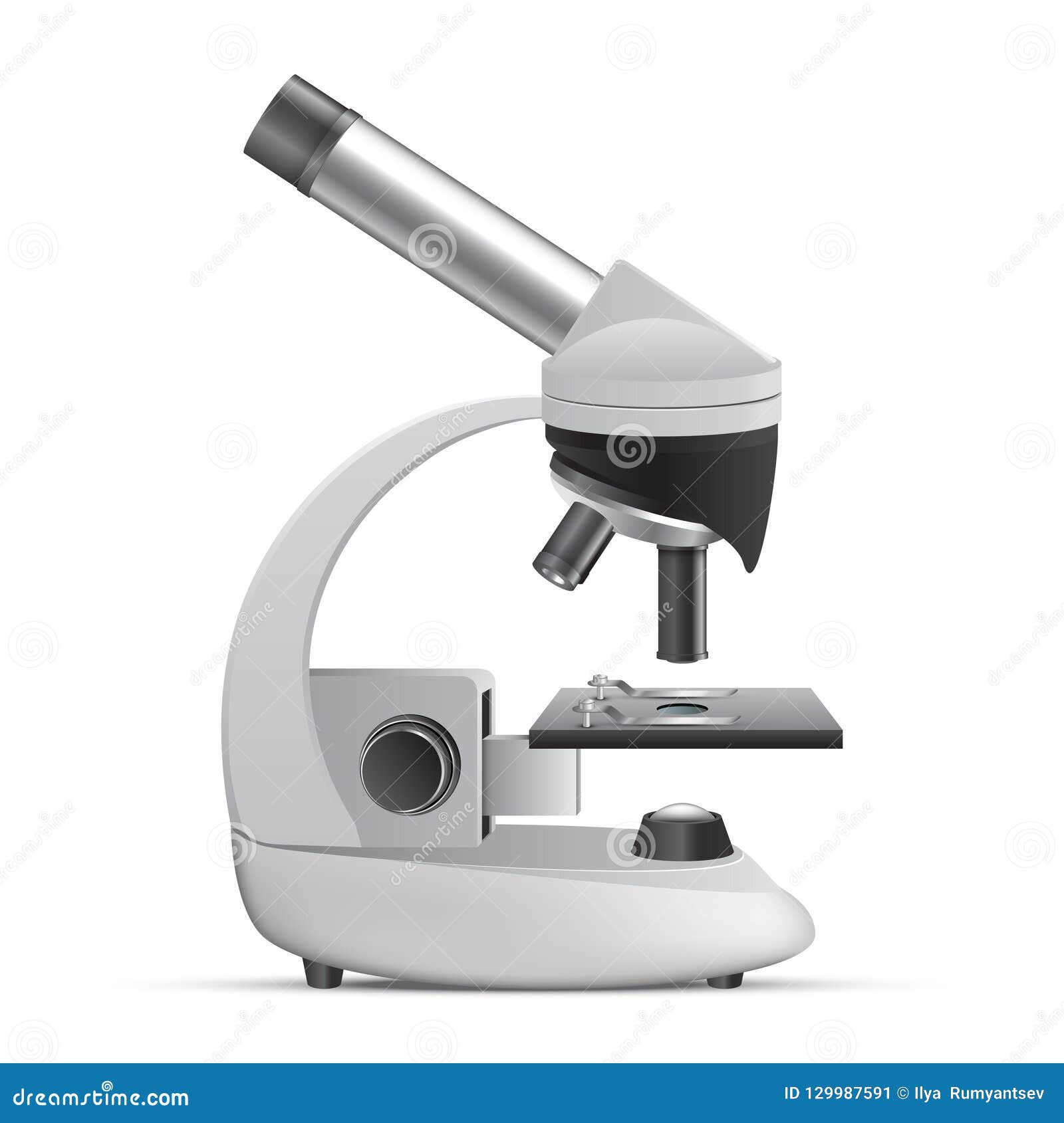 Realistic Microscope Parts Infographic Presentation Chart Vector ...