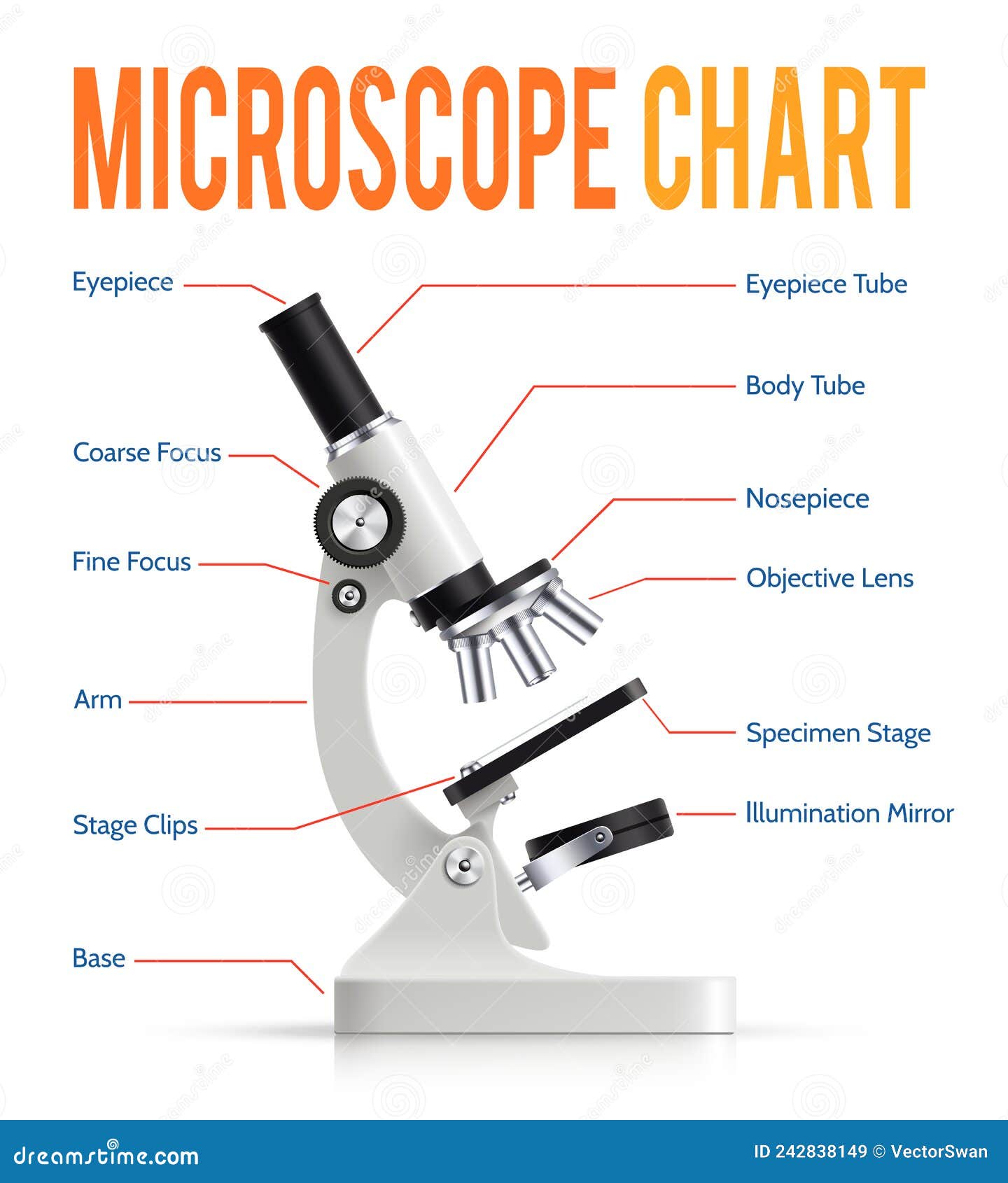 Microscope Parts. Vector 3d Realistic White Laboratory Microscope Isolated On White. Chemistry ...