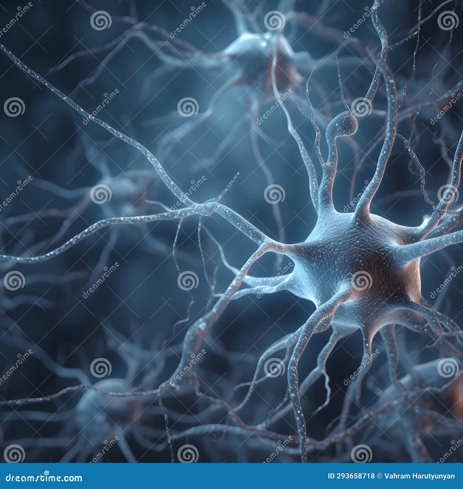 Realistic Microscopic Photo of a Human Neuron Stock Illustration ...