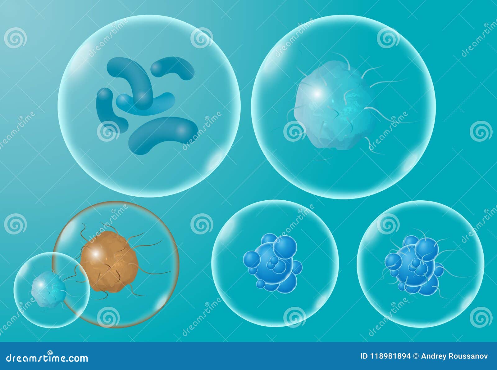 Realistic 3d Microscopic Viruses And Bacteria Vector Set ...