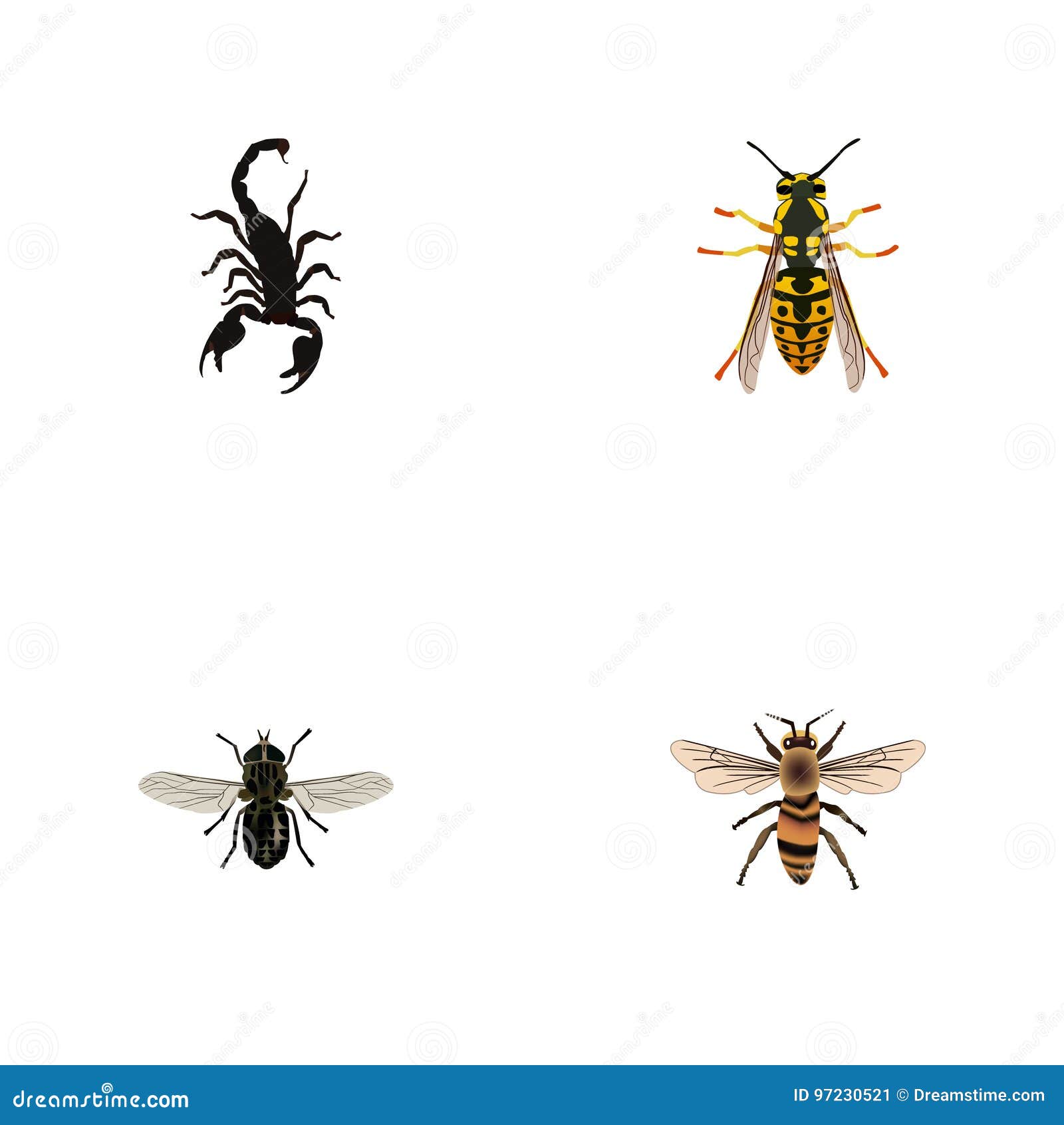 Realistic Midge, Bee, Wasp And Other Vector Elements. Set Of Bug ...