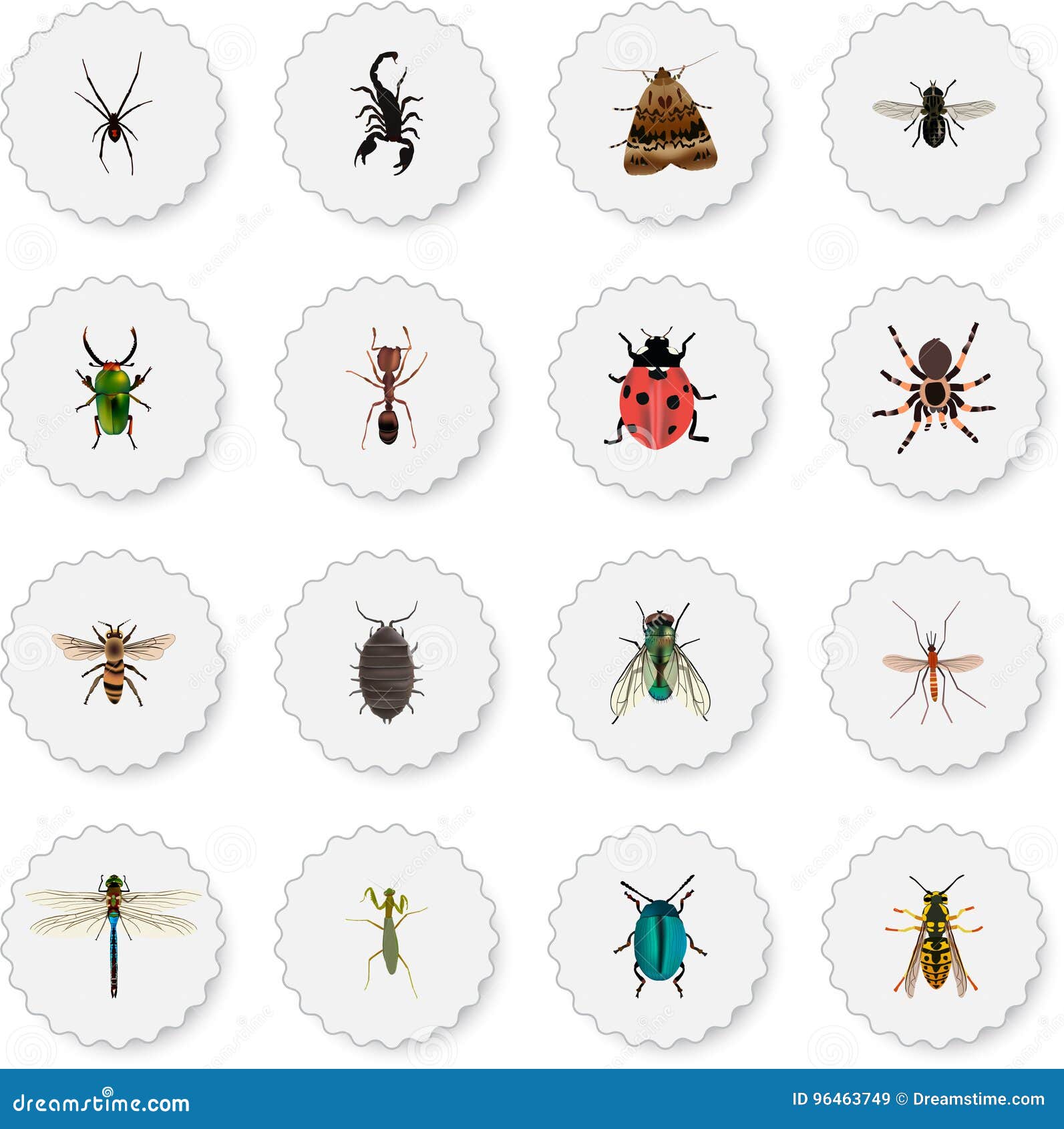 Realistic Dor, Midge, Butterfly And Other Vector Elements. Set Of ...