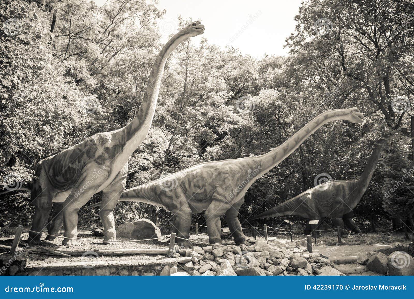 Brachiosaurus Realistic Model. Head Close Of Dinosaur. Big Model Of ...