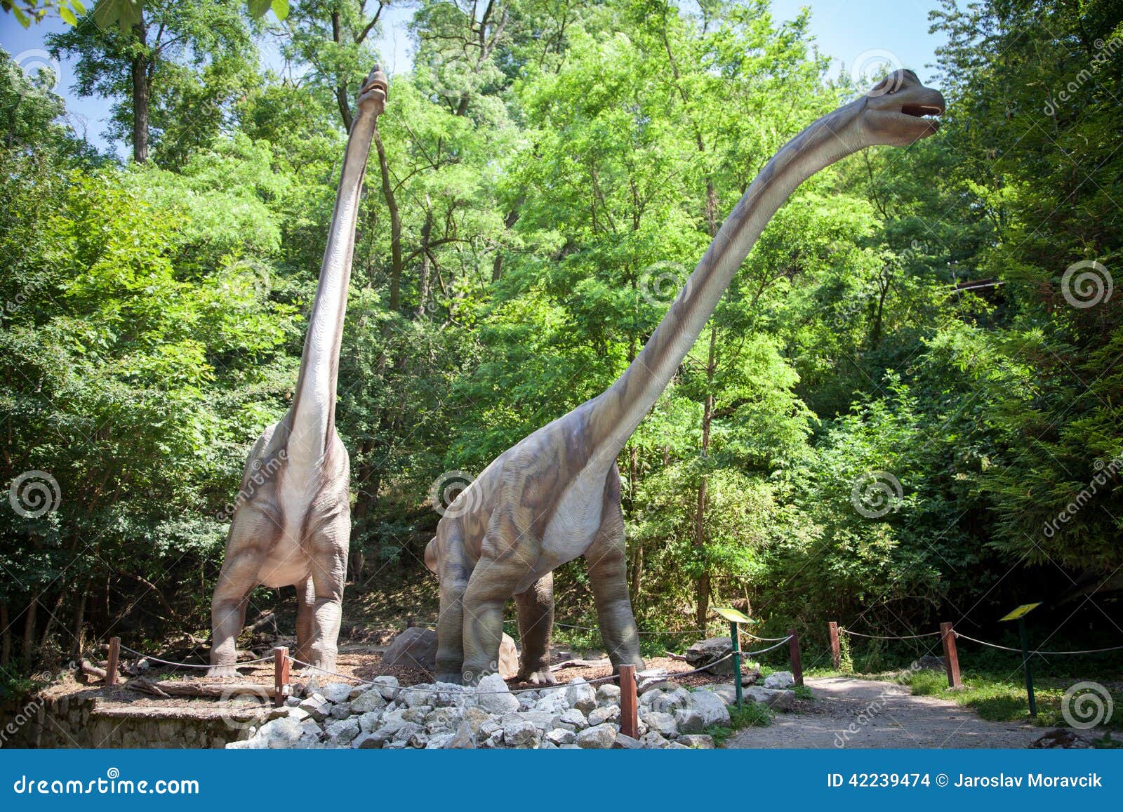 Realistic Model of Dinosaur - Brachiosaurus Editorial Stock Image ...