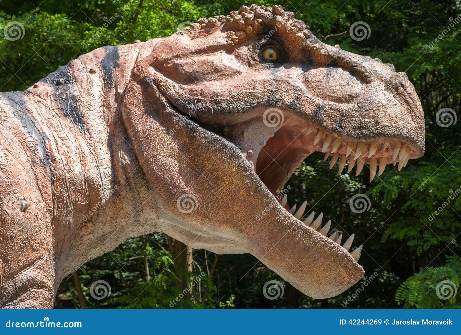Realistic Model of Tyrannosaurus Rex Stock Image - Image of prehistoric ...