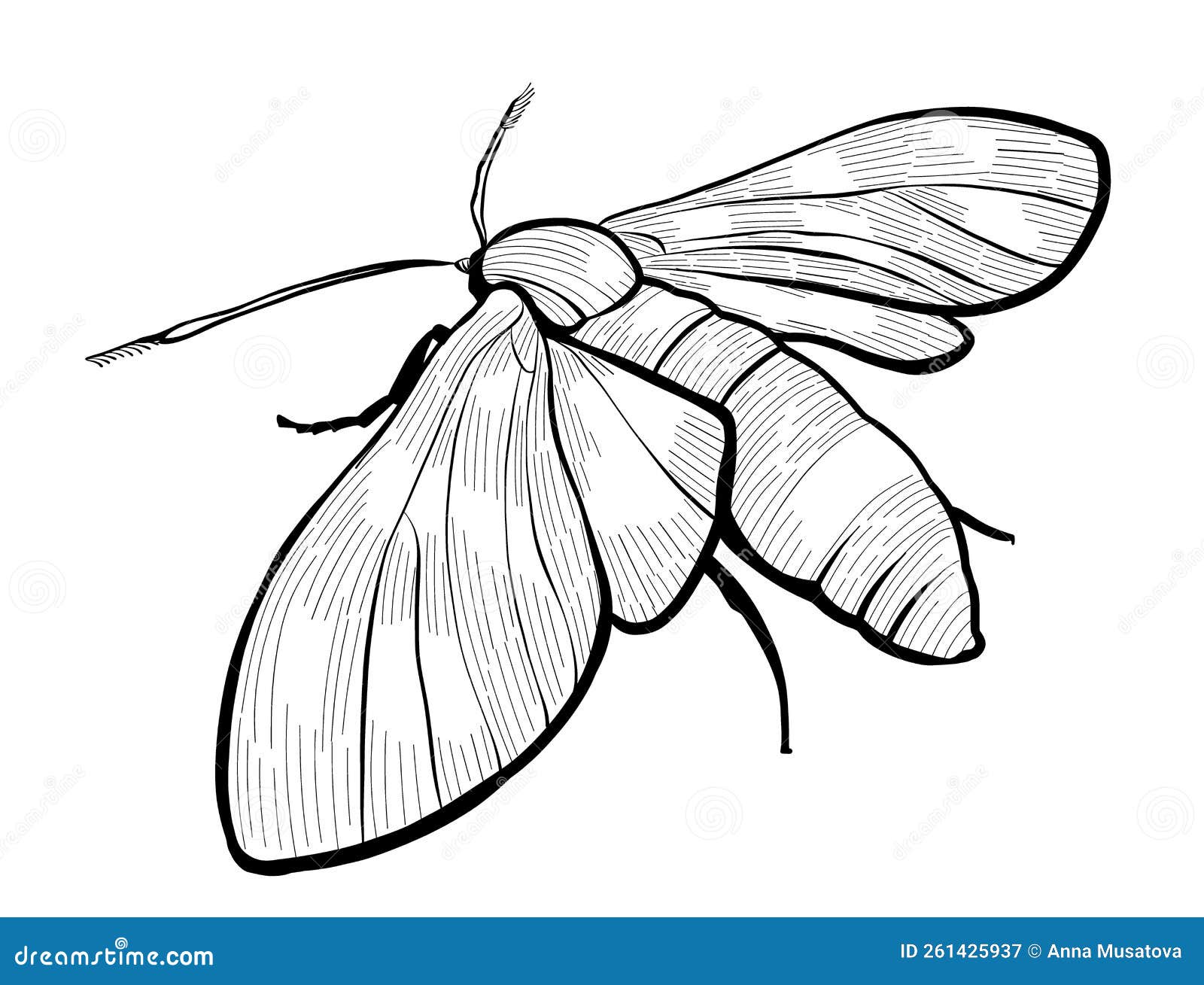 Realistic 3d Moth Illustration On Transparent Background Stock Image ...