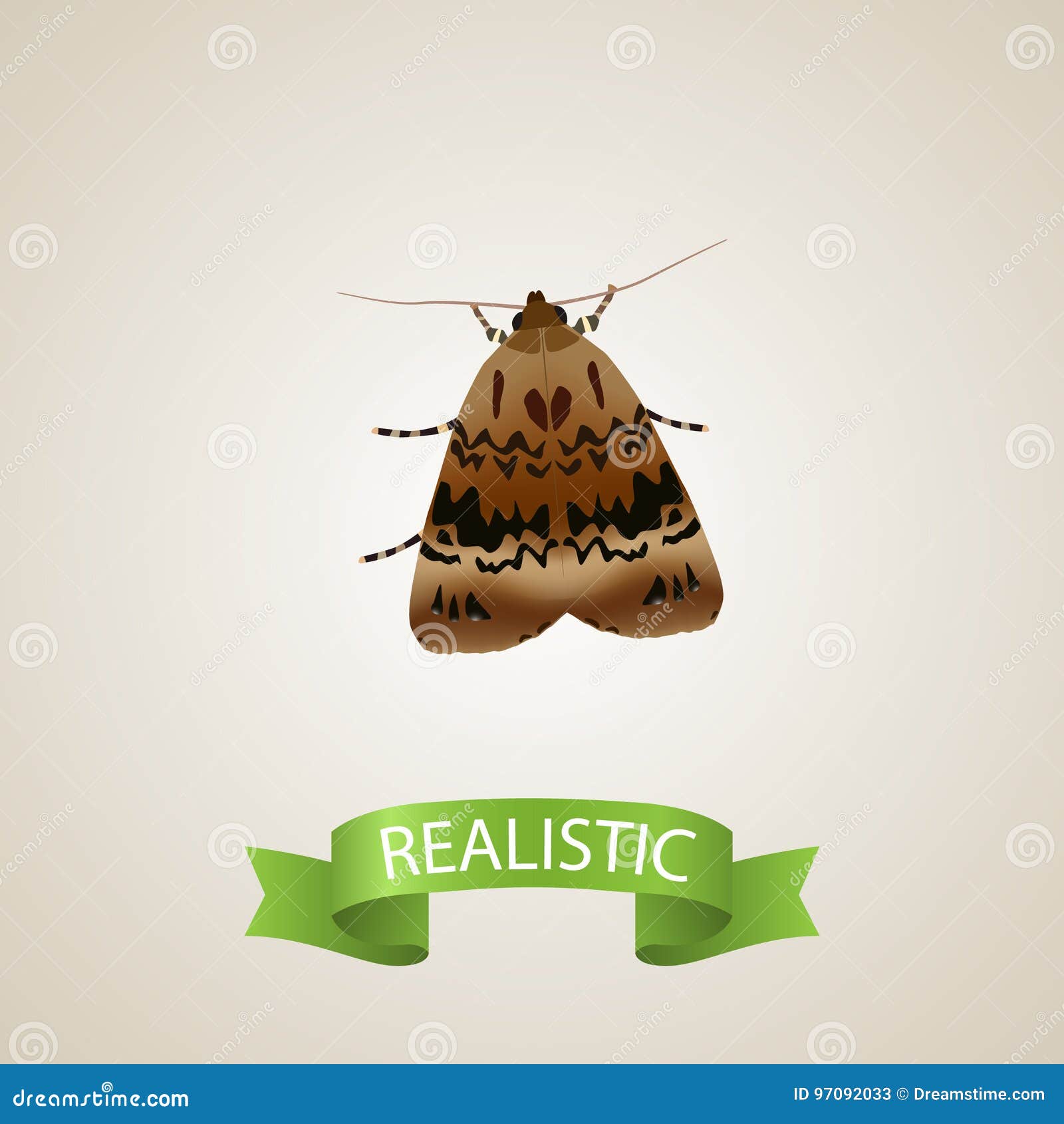 Realistic Moth Element. Vector Illustration of Realistic Butterfly on ...