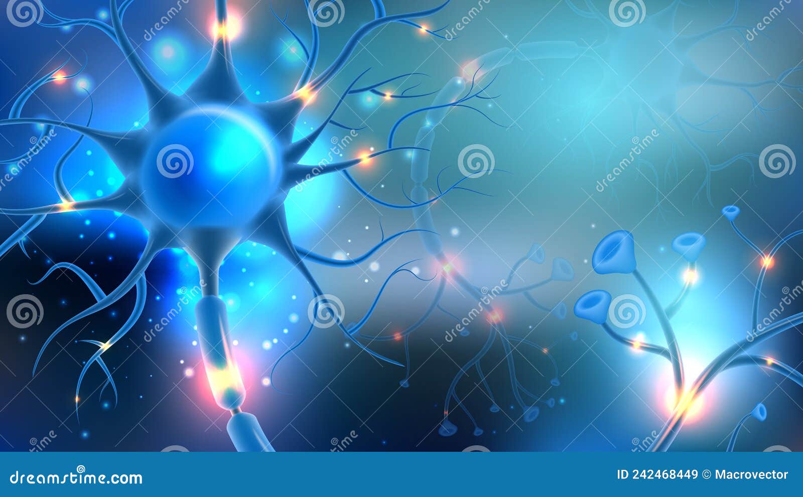 Realistic Neuron Anatomy Cartoon Vector | CartoonDealer.com #244458525