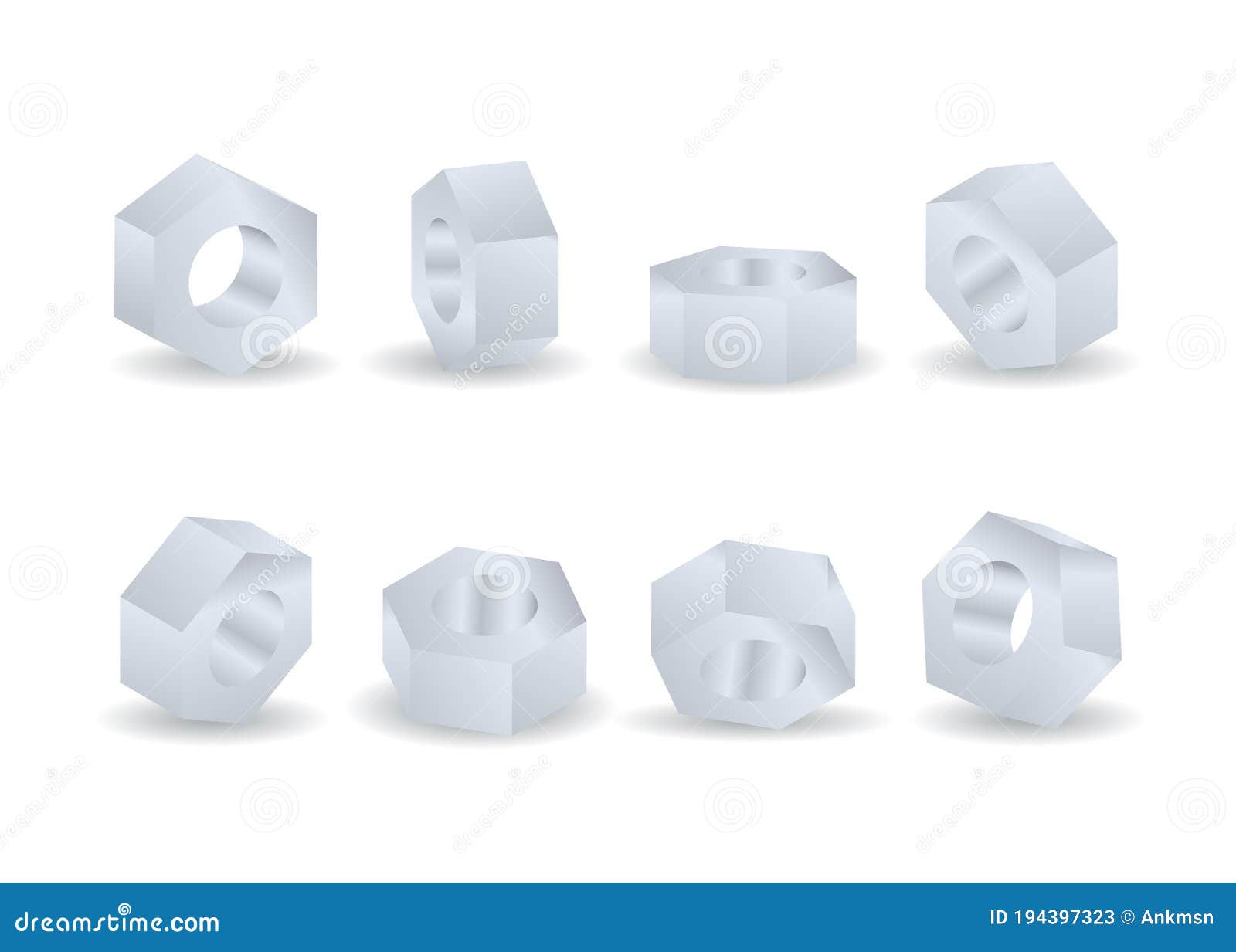 Realistic Nut in Various Angles Vector. Nuts Top View, Side View, Half ...