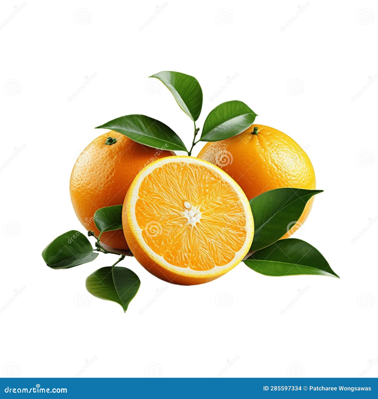 Realistic Orange Realistic Orange Clip Art Stock Illustration ...