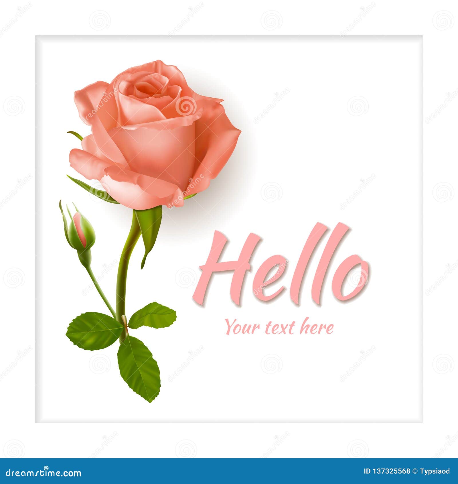 Realistic Orange Roses Flowers in White Frame Stock Vector ...