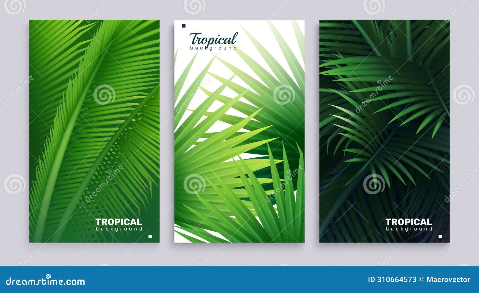 Realistic Palm Tree Cards Set Stock Illustration - Illustration of card ...