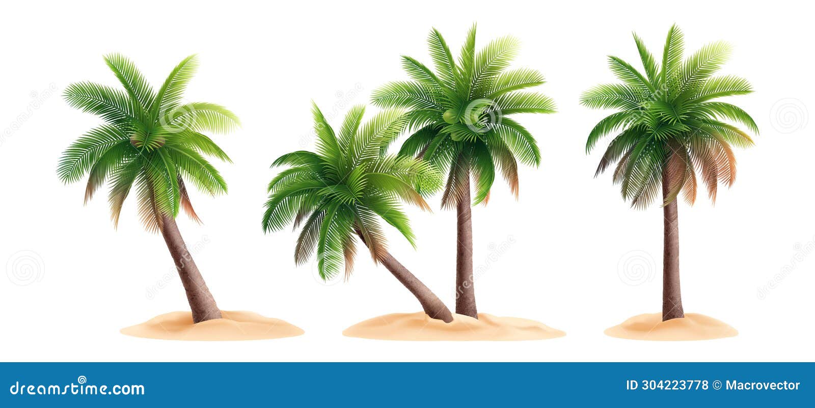 Realistic Palm Tree Composition Set Stock Illustration - Illustration ...