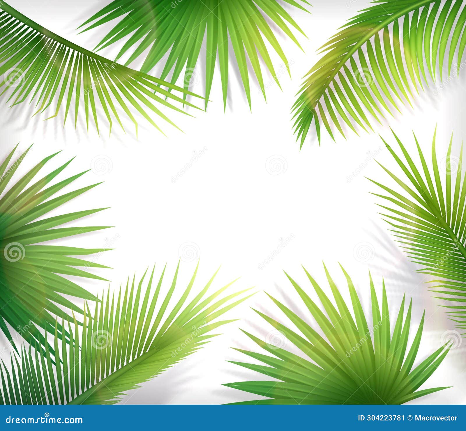 Set Of Realistic Palm Trees With Coconuts. 3D Icons Of Palmae From ...