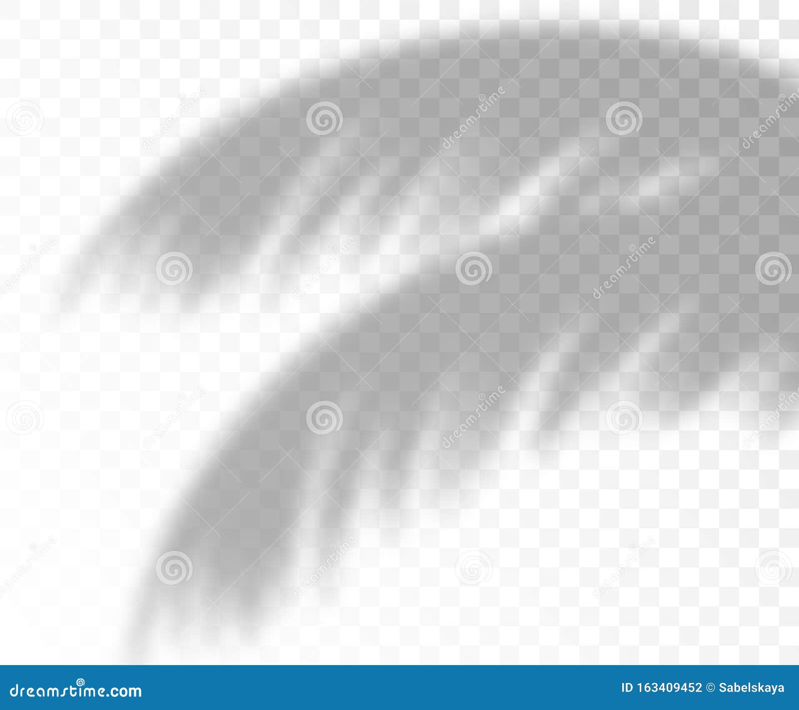 Realistic Palm Tree Leaves Shadow Isolated on Transparent Background ...
