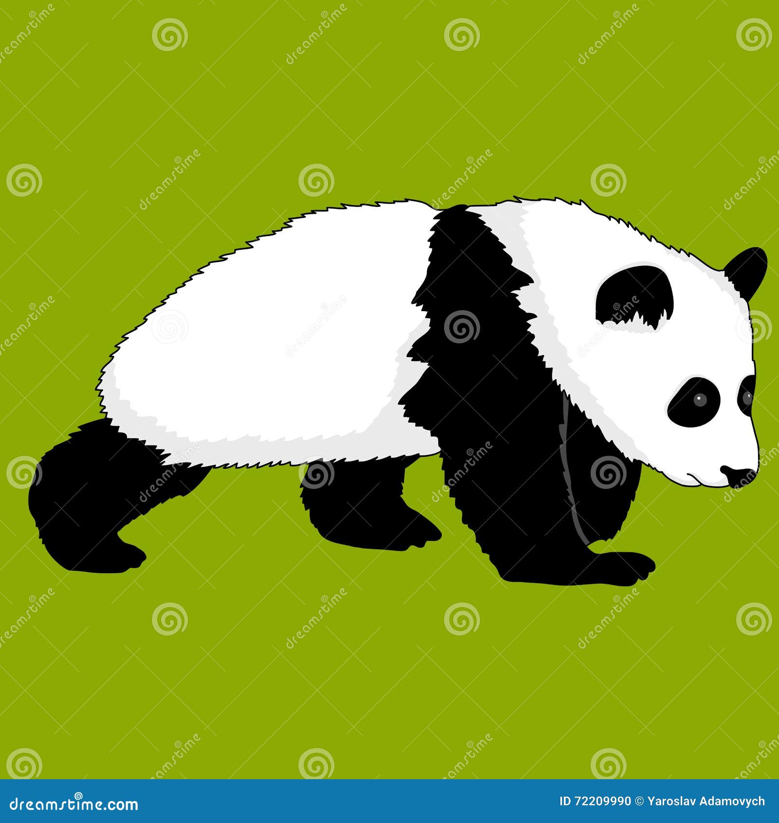 Realistic Panda Bear Face Illustration In Black And White Royalty-Free ...