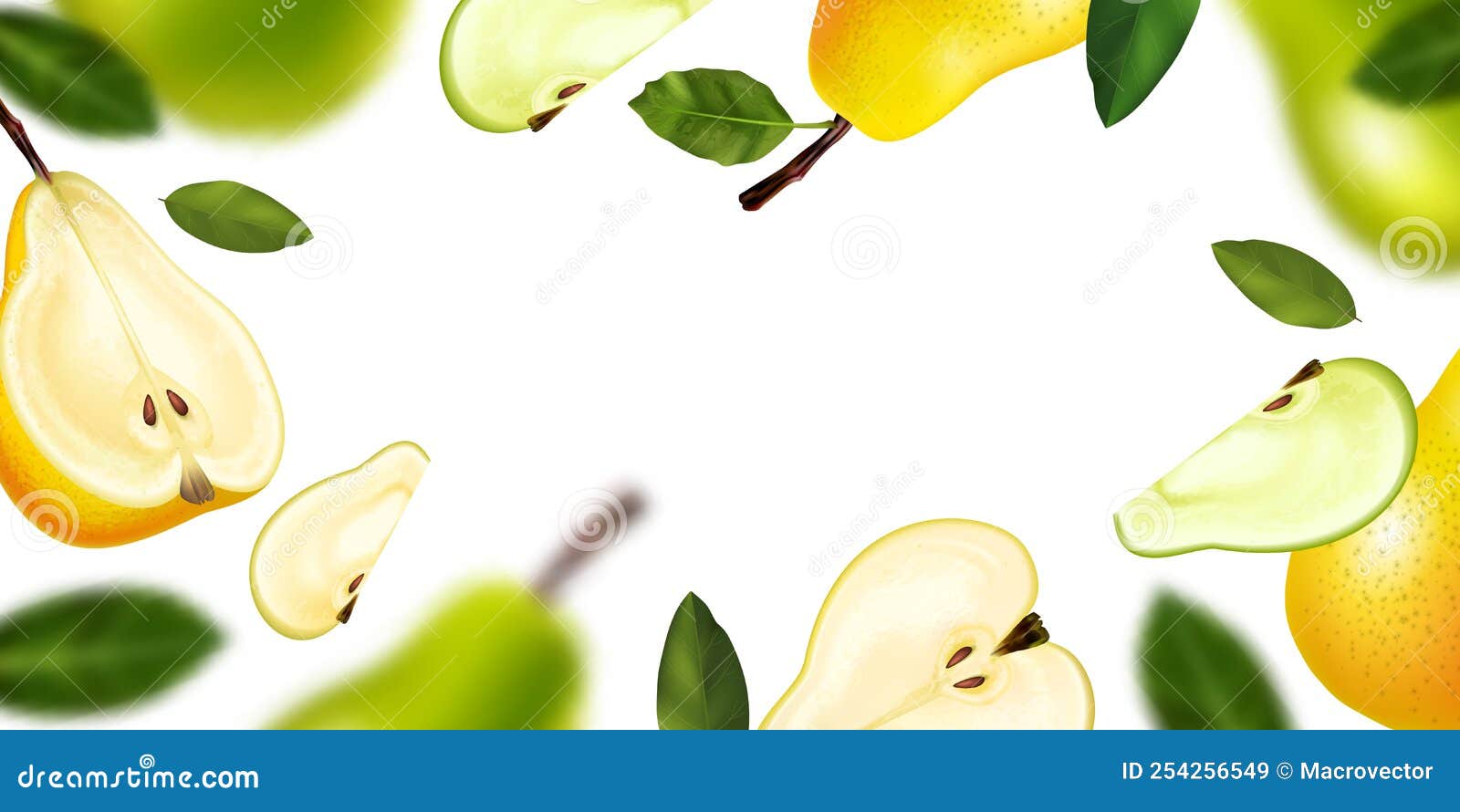 Realistic Pear Frame stock illustration. Illustration of leaf - 254256549