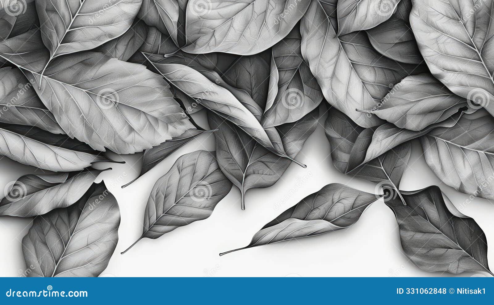 Realistic Pencil Drawing of Various Tree Leaf Textures Stock ...