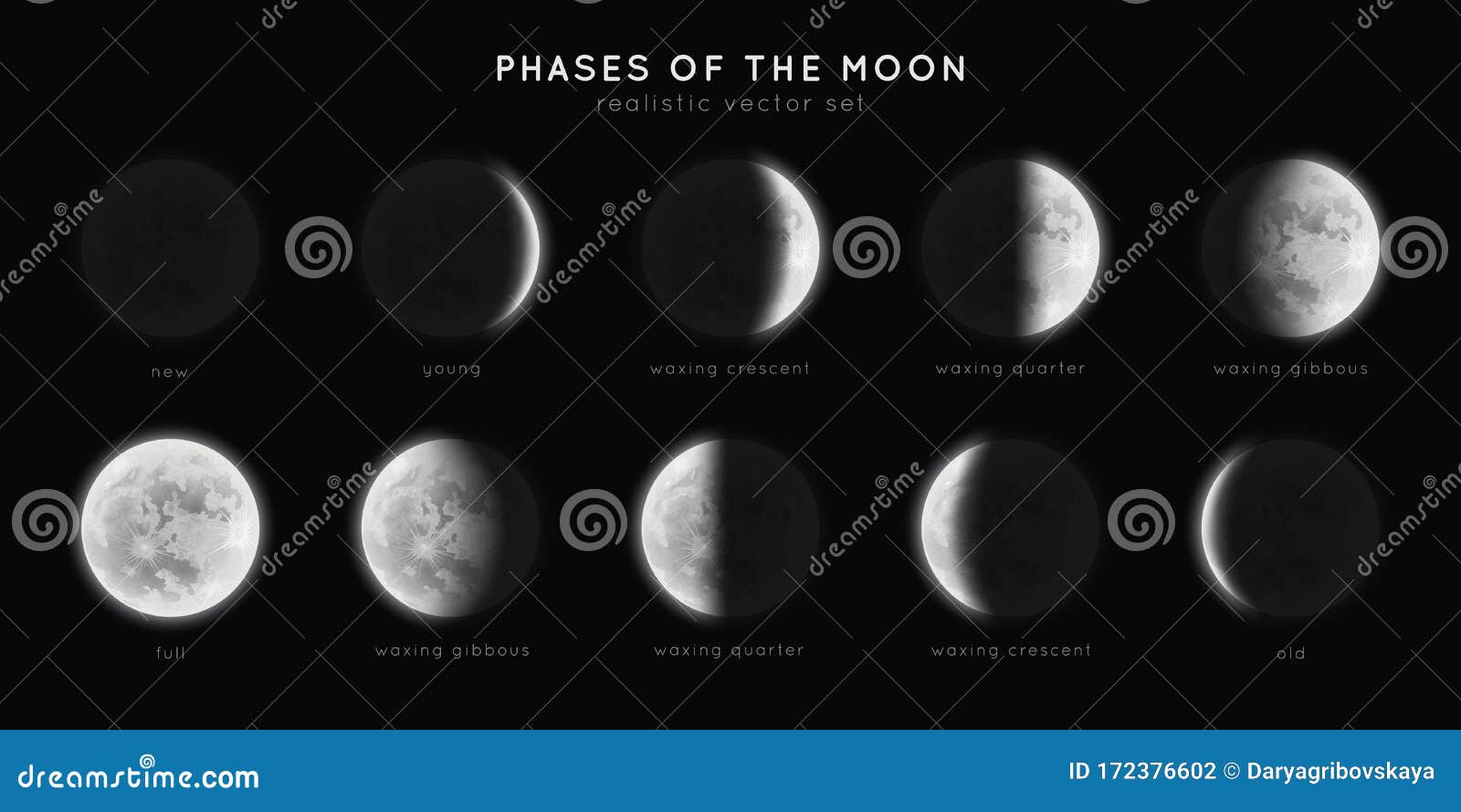 Realistic Phases of the Moon. Stock Vector - Illustration of dark ...