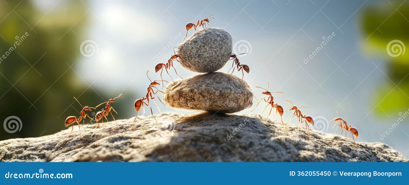 A Group Of Ants Moving Across A DNA Sequence Royalty-Free Stock Image ...