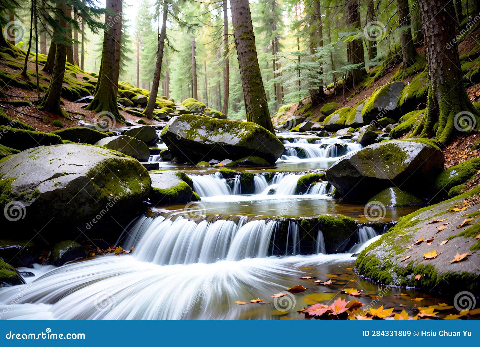 Realistic Photo Landscape of Green Tree Forest and Creek Stock ...