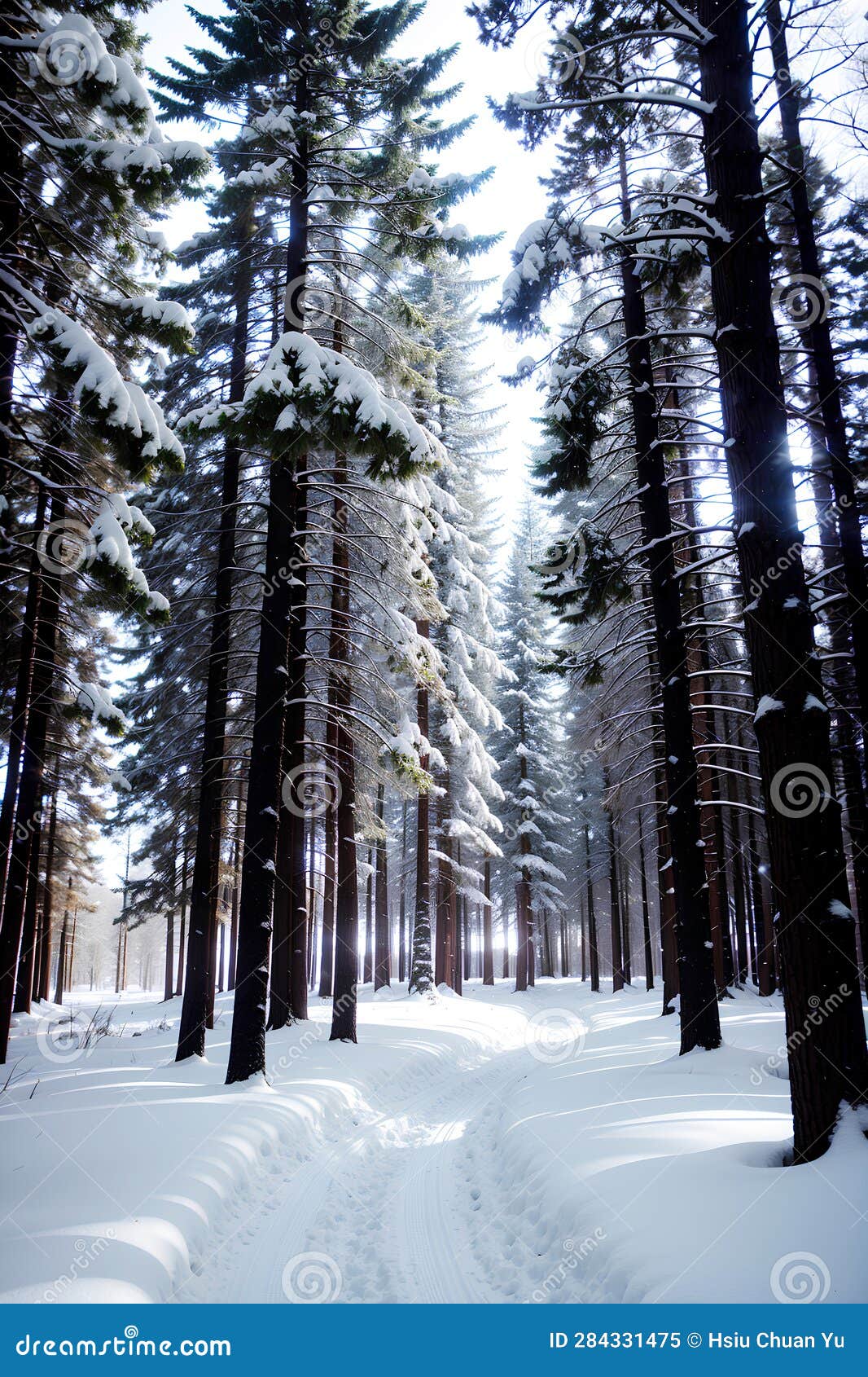 Realistic Photo Landscape of Winter Snow Forest Stock Illustration ...