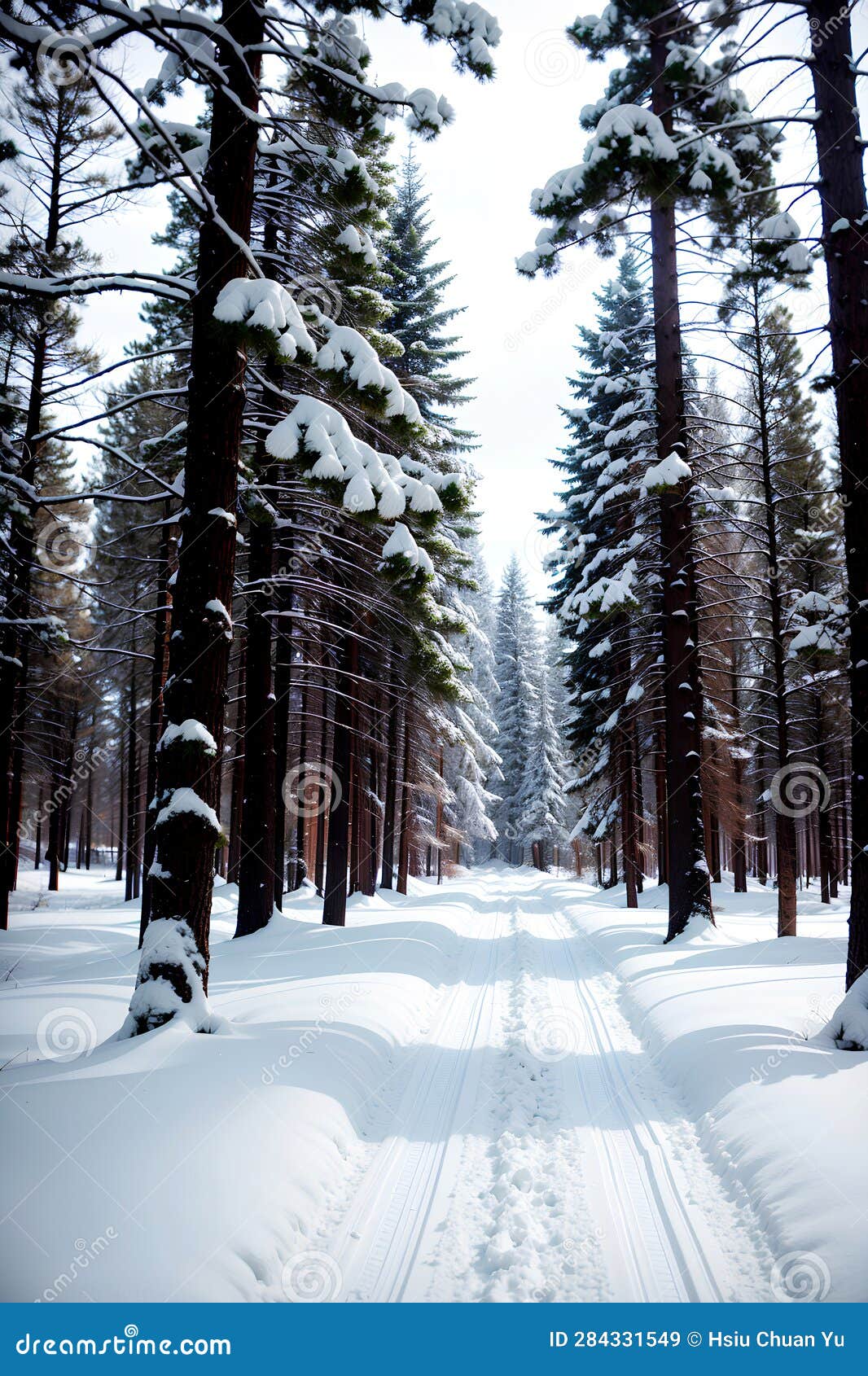Realistic Photo Landscape of Winter Snow Forest Stock Illustration ...