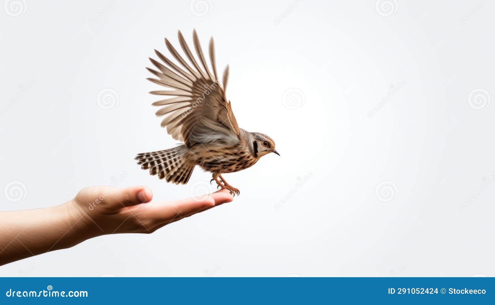 Realistic Photo of Quail in Flight: Innovative Rendering with Light and ...