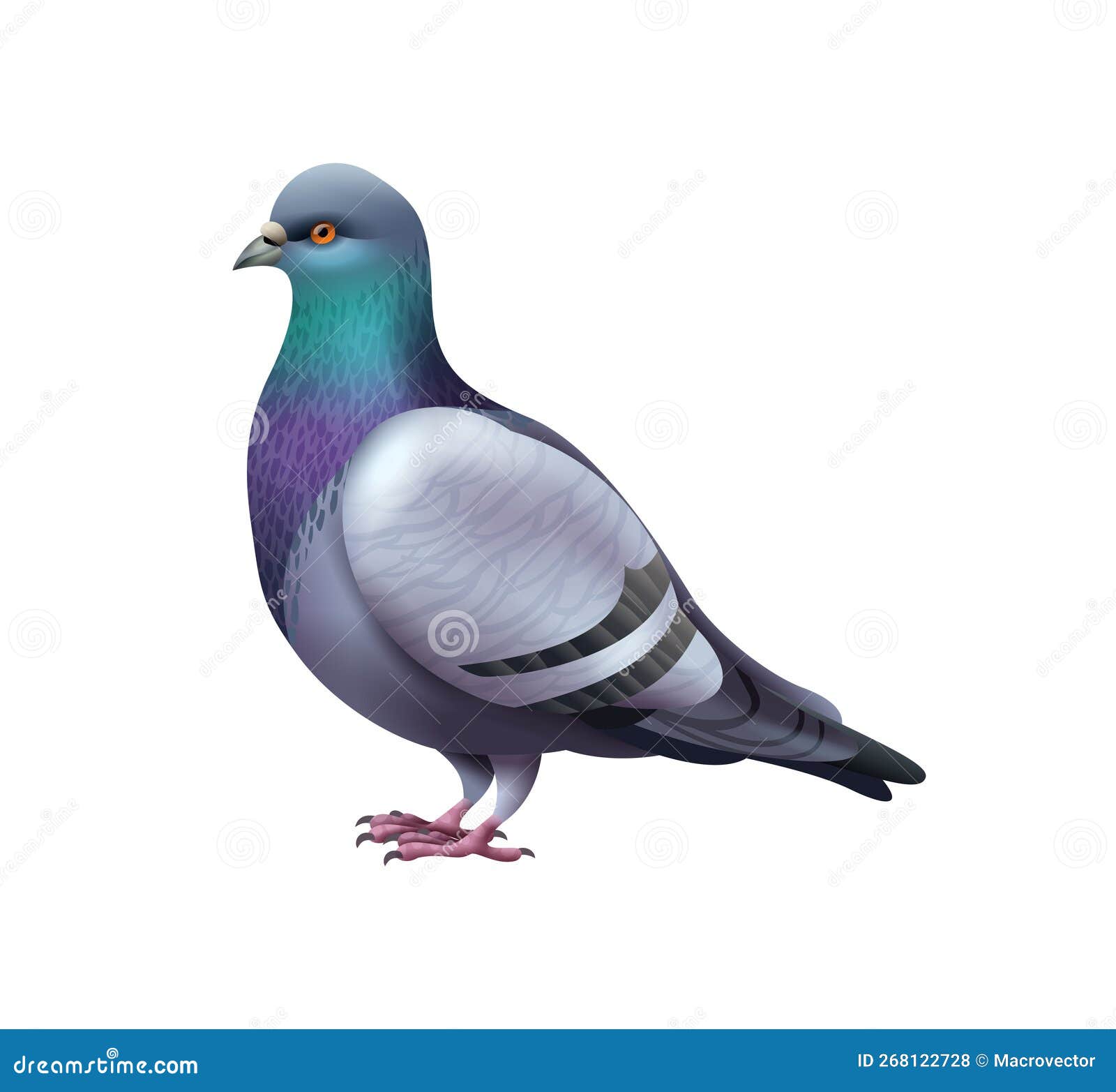 Realistic Pigeon Bird Composition Stock Vector - Illustration of wing ...