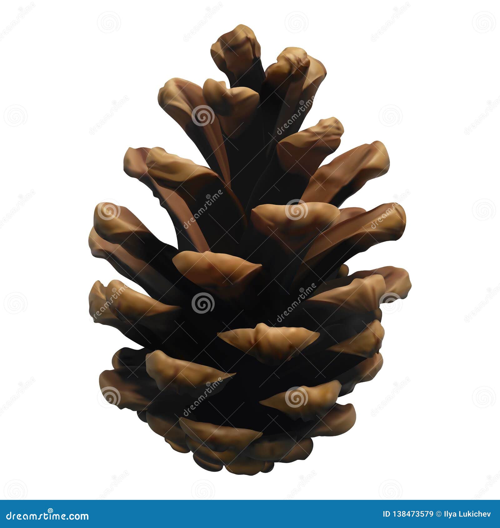 Realistic Pine Cone Isolated on White Background. Stock Vector ... Realistic Pine Cone Isolated on White Background. Stock Vector ...