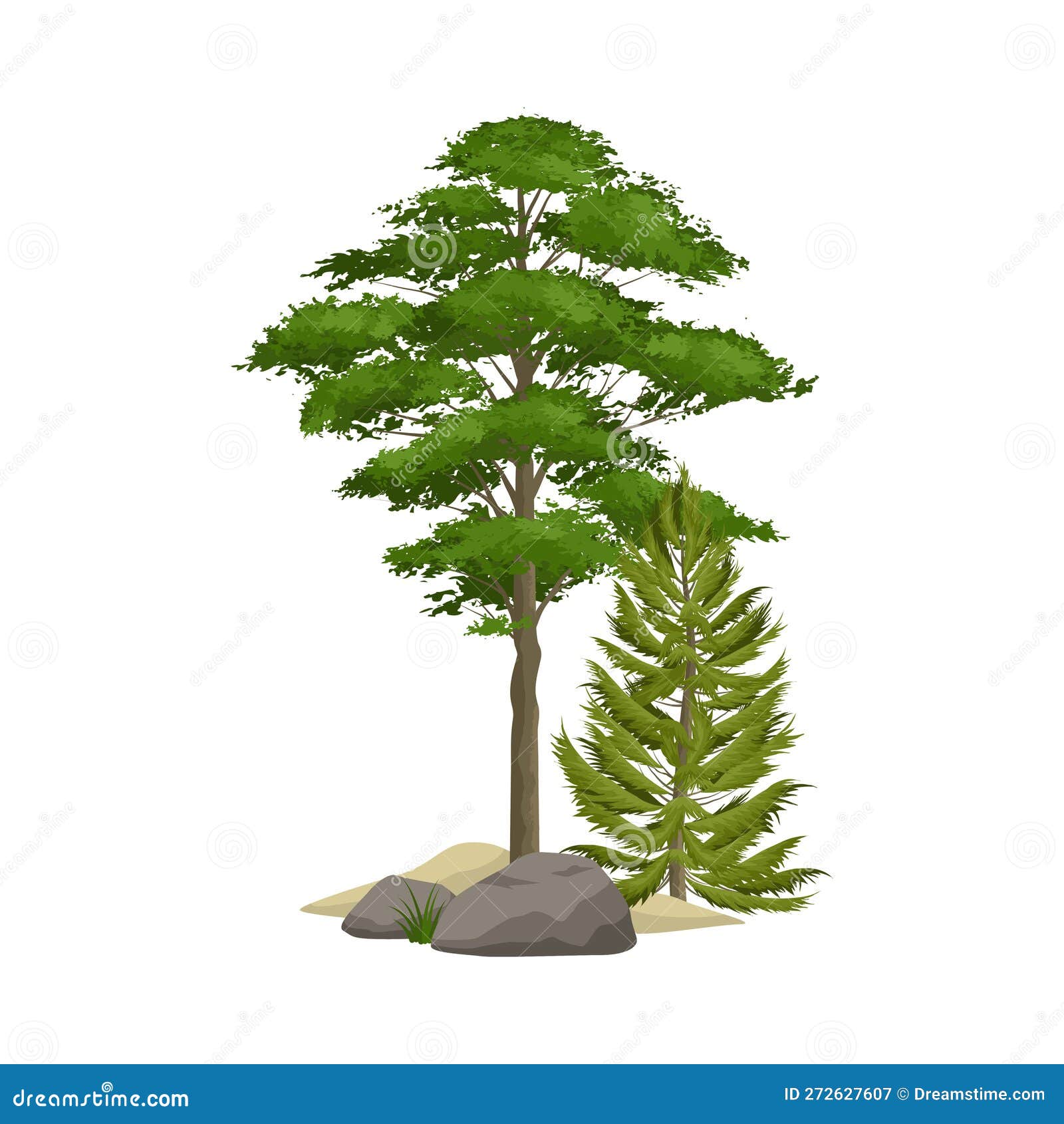 Realistic Pine Forest stock vector. Illustration of grass - 272627607