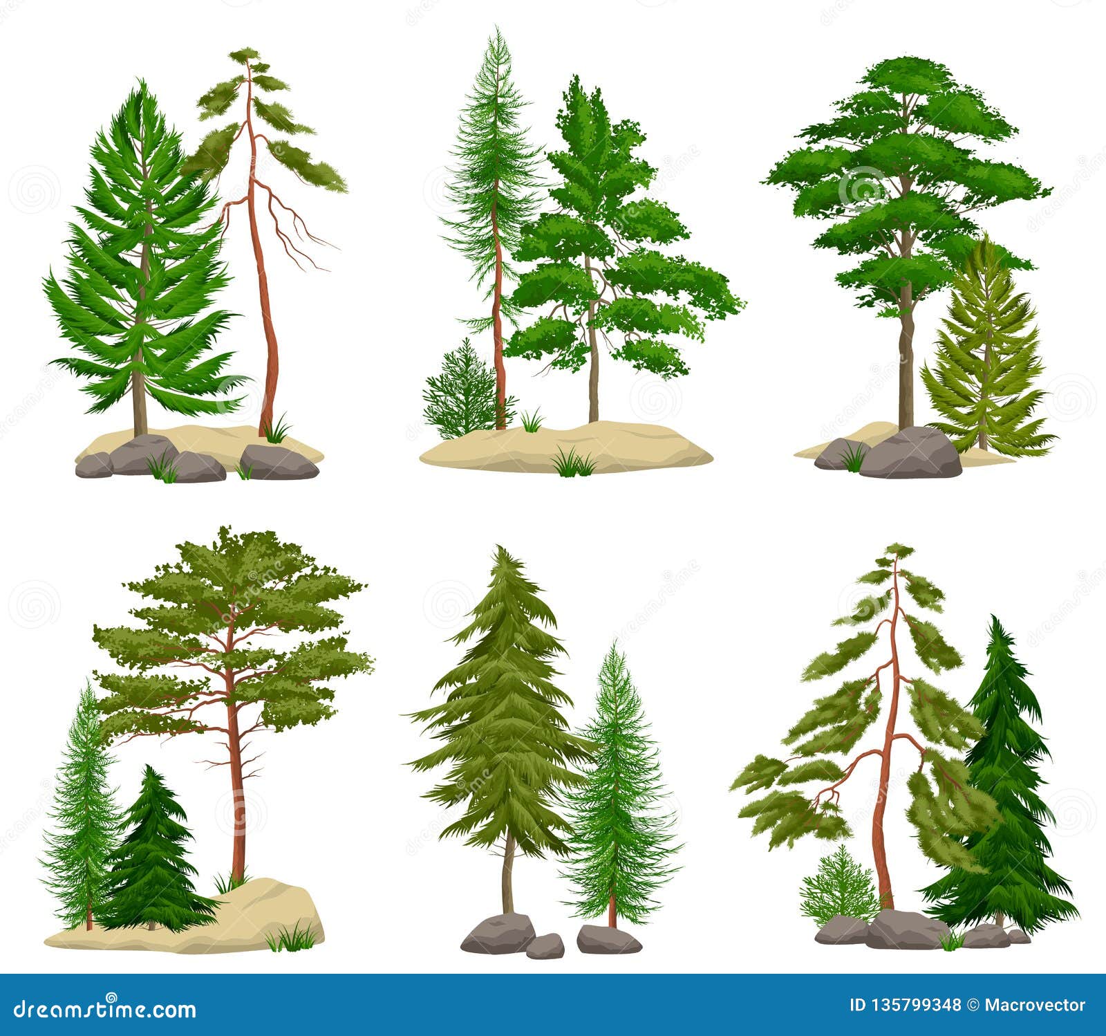 Realistic Pine Forest Elements Set Stock Vector - Illustration of ...