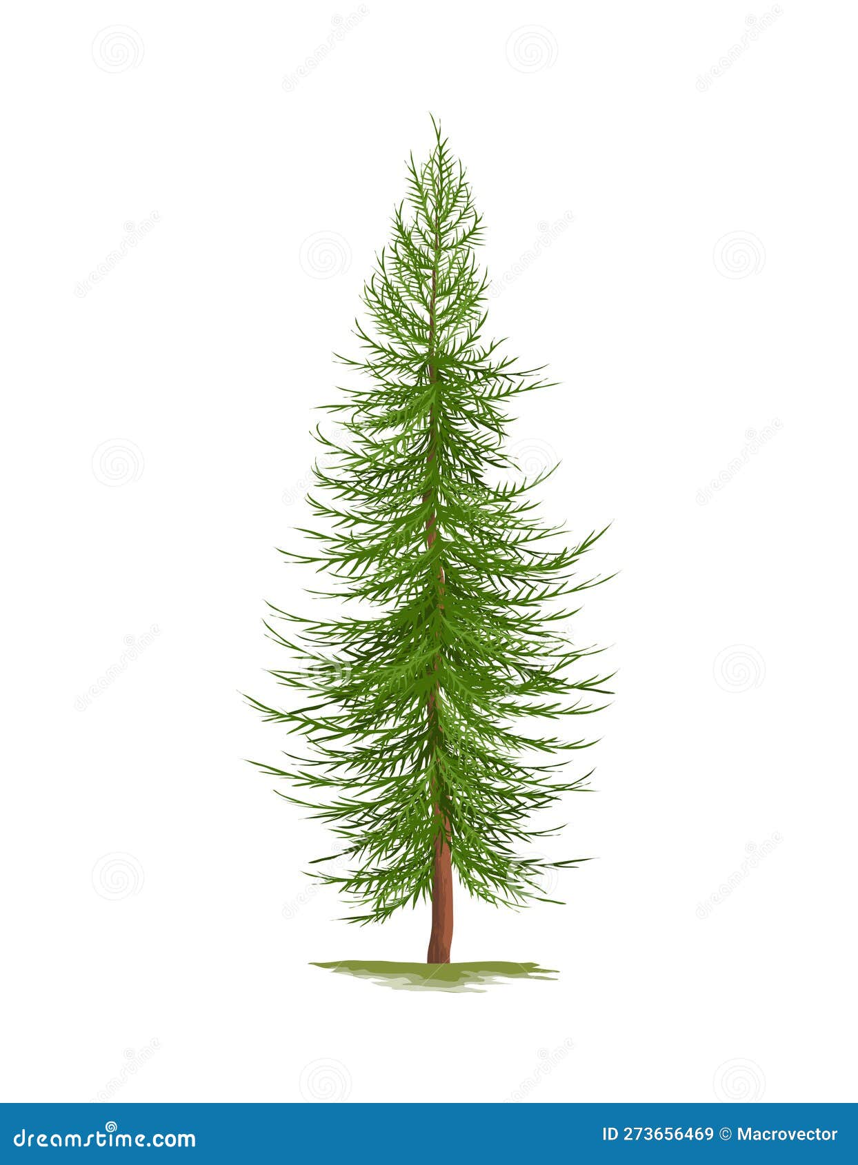 Realistic Pine Tree stock vector. Illustration of evergreen - 273656469
