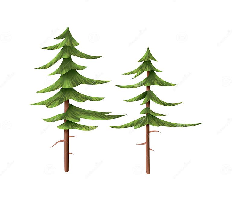 Realistic Pine Trees stock vector. Illustration of icon - 273535008