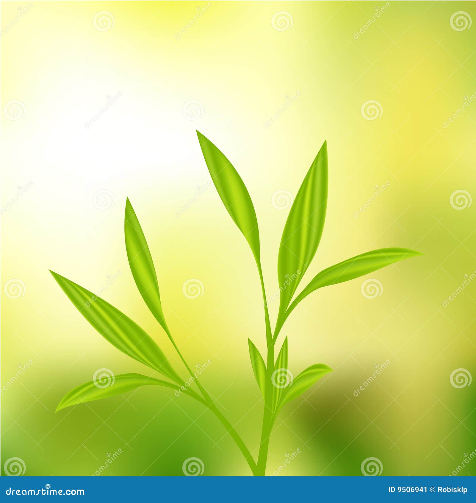 Realistic plant stock vector. Illustration of natural - 9506941