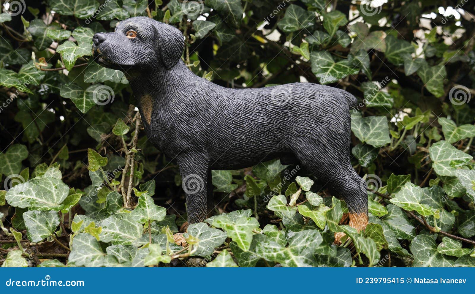 Realistic Plastic Toy Dog - Rottweiler Stock Image - Image of material ...