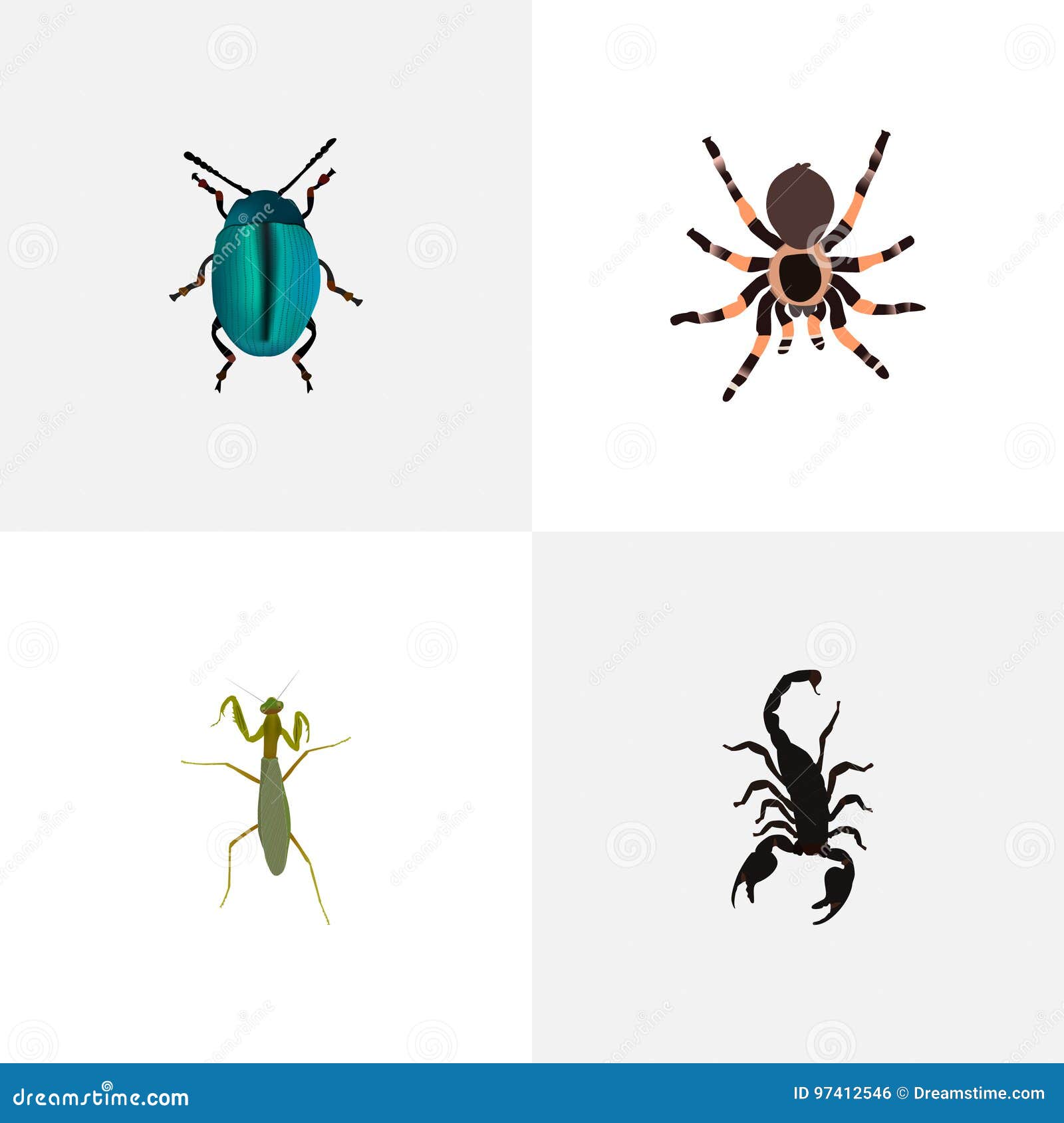 Realistic Dor, Tarantula, Butterfly And Other Vector Elements. Set Of ...