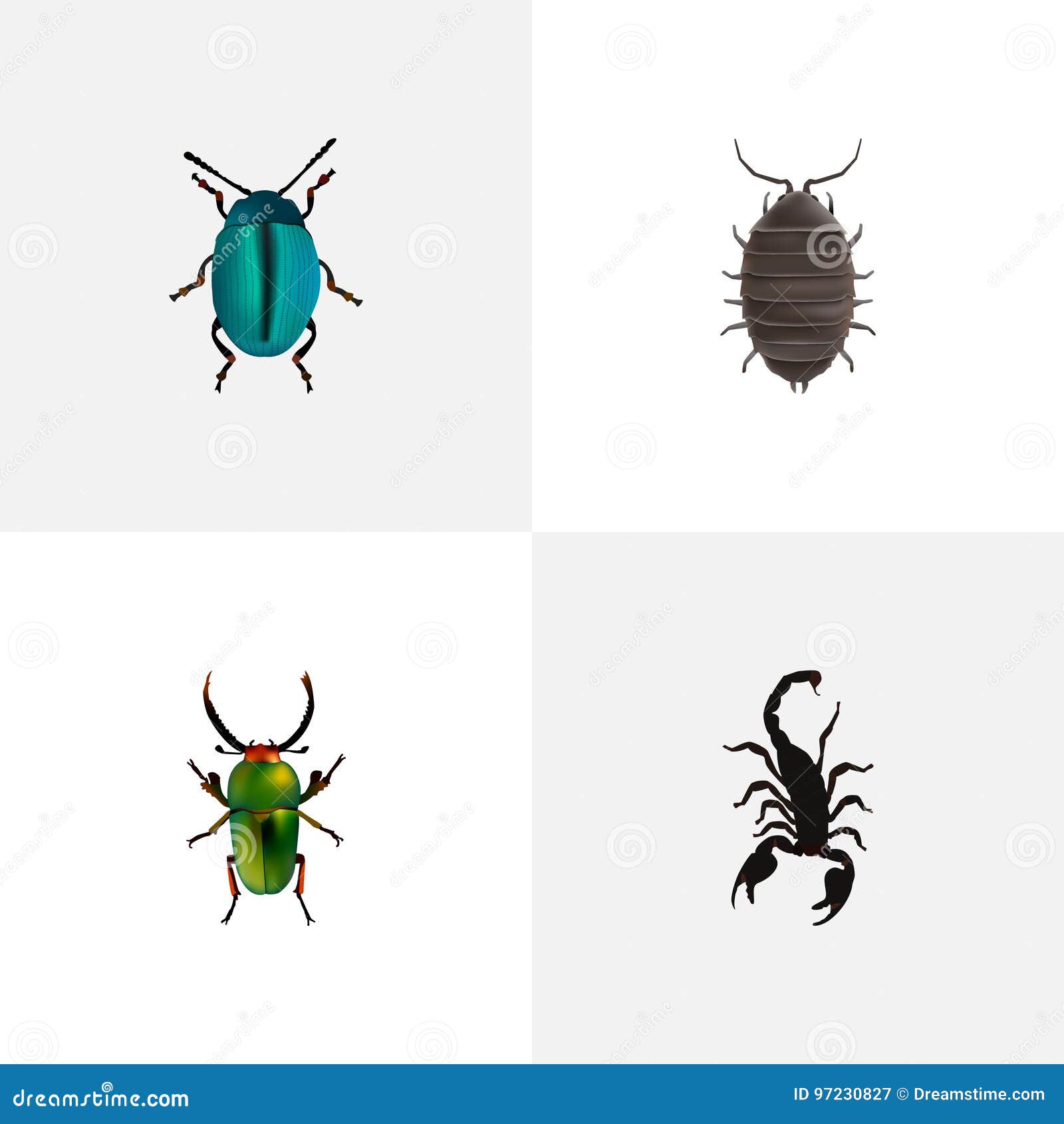 Realistic Poisonous, Insect, Bug and Other Vector Elements. Set of ...