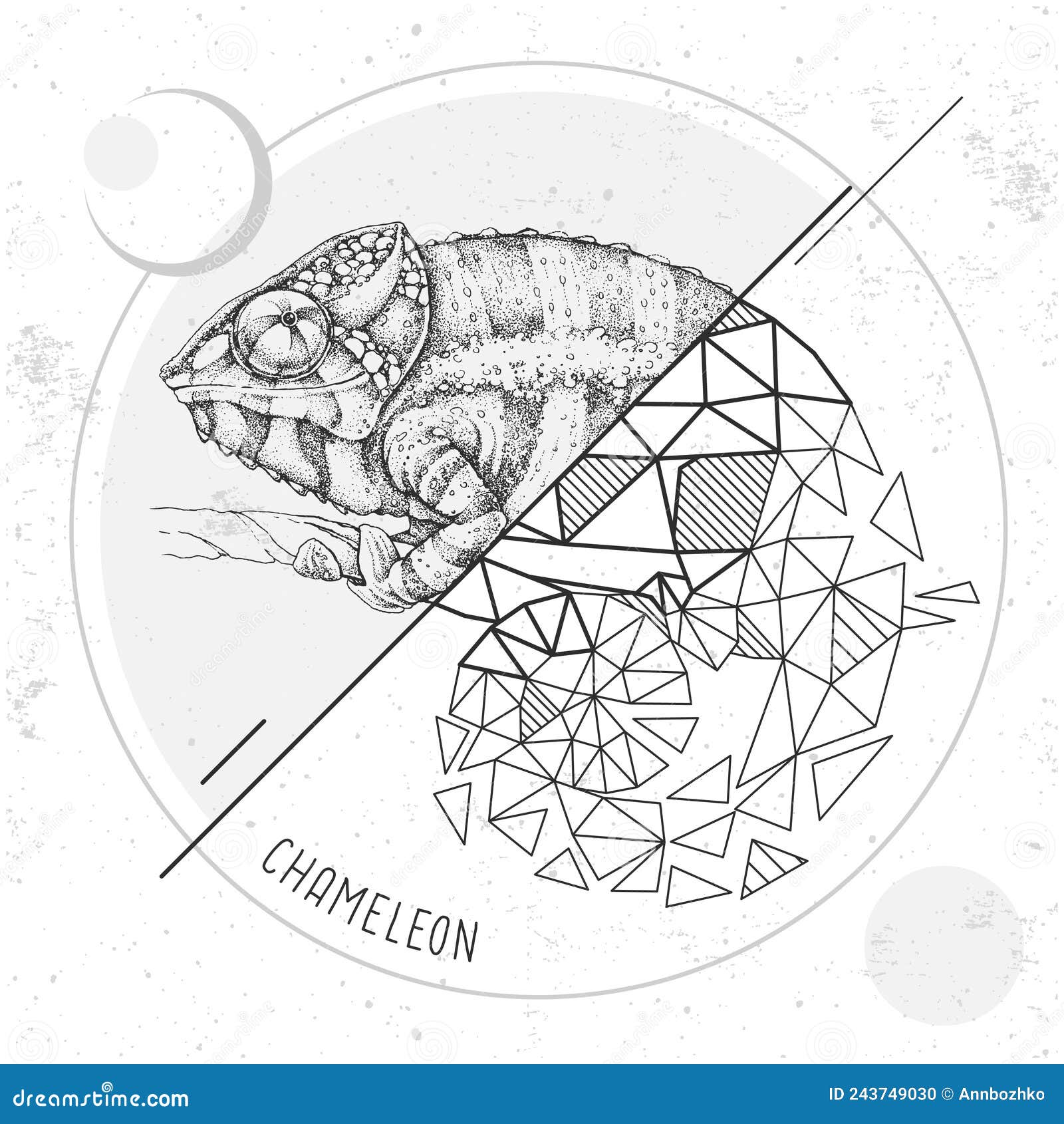 Realistic and Polygonal Chameleon Illustration. Triangle Animal ...