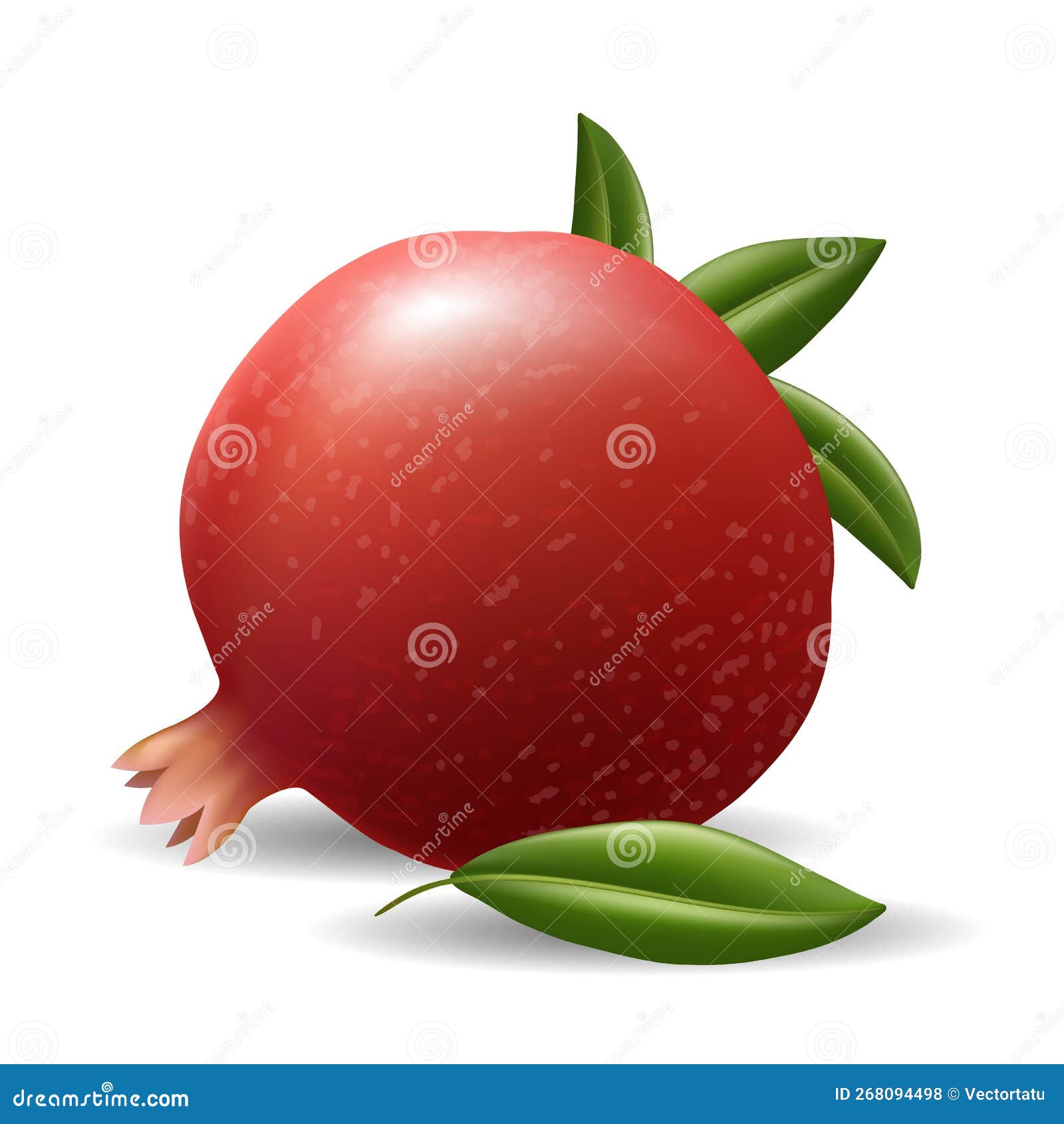 Realistic Pomegranate Isolated Stock Vector - Illustration of vegan ...