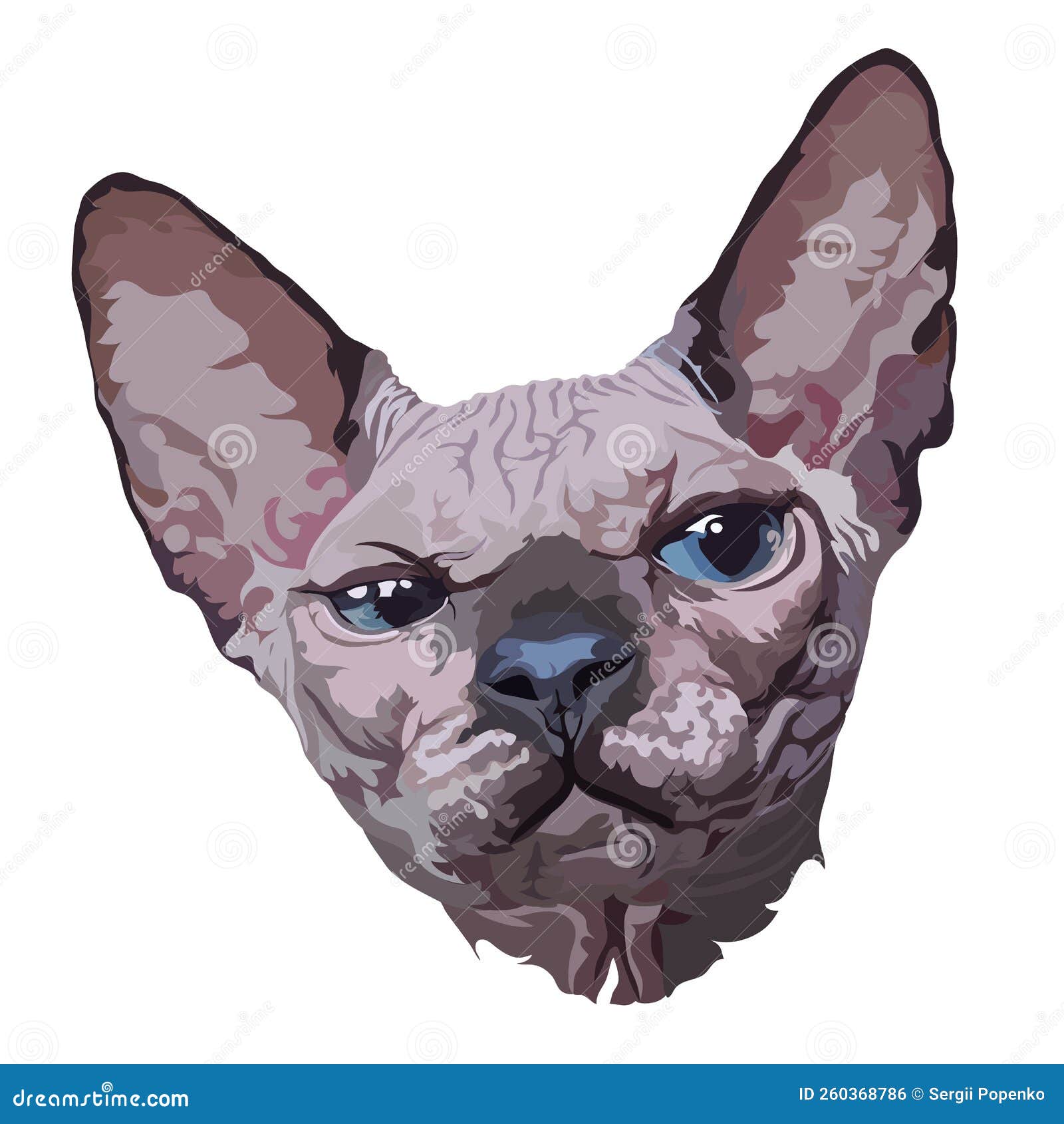 Realistic Portrait of a Sphinx Cat Vector Illustration Stock Vector ...