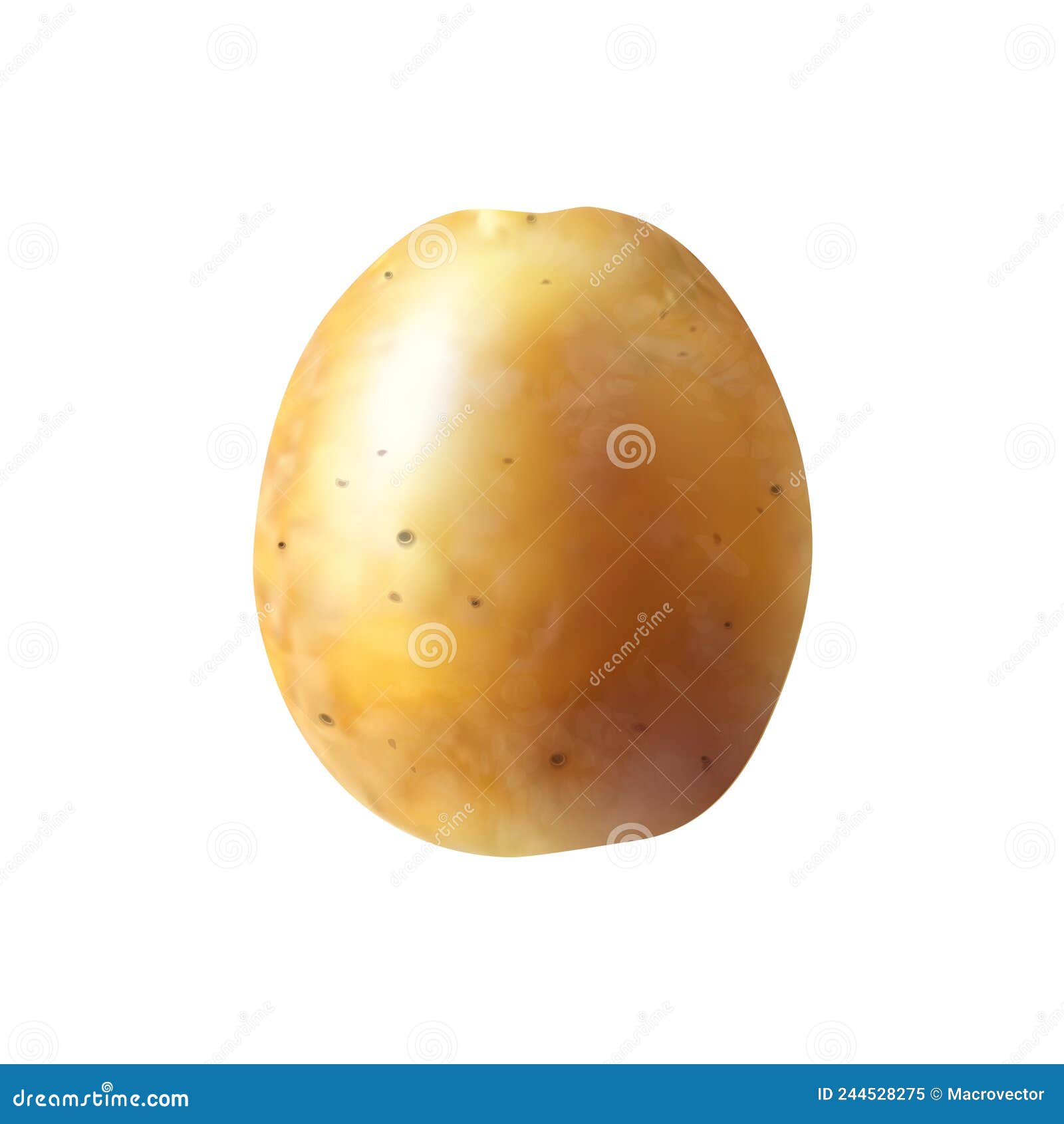 Realistic Potato Illustration Stock Vector - Illustration of green ...