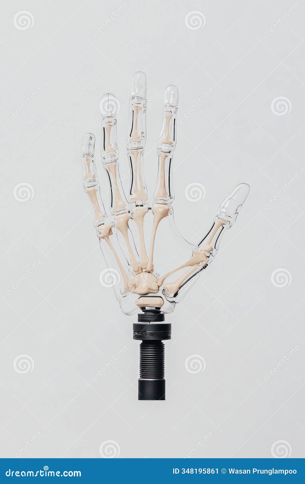 Realistic Prosthetic Hand Model on a Neutral Background Stock ...