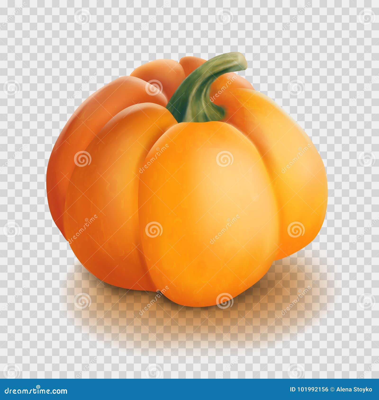 Realistic Pumpkin Isolated Vector Stock Vector - Illustration of close ...
