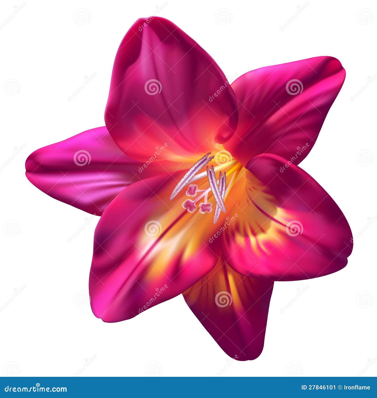 Realistic Purple Freesia Flower Cartoon Vector | CartoonDealer.com ...