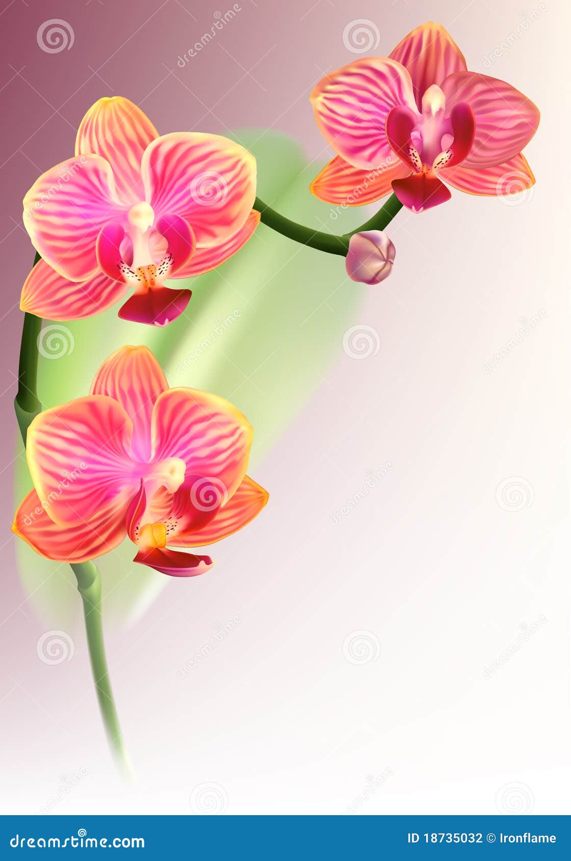 Realistic Purple Orchid Flower Vector Illustration | CartoonDealer.com ...