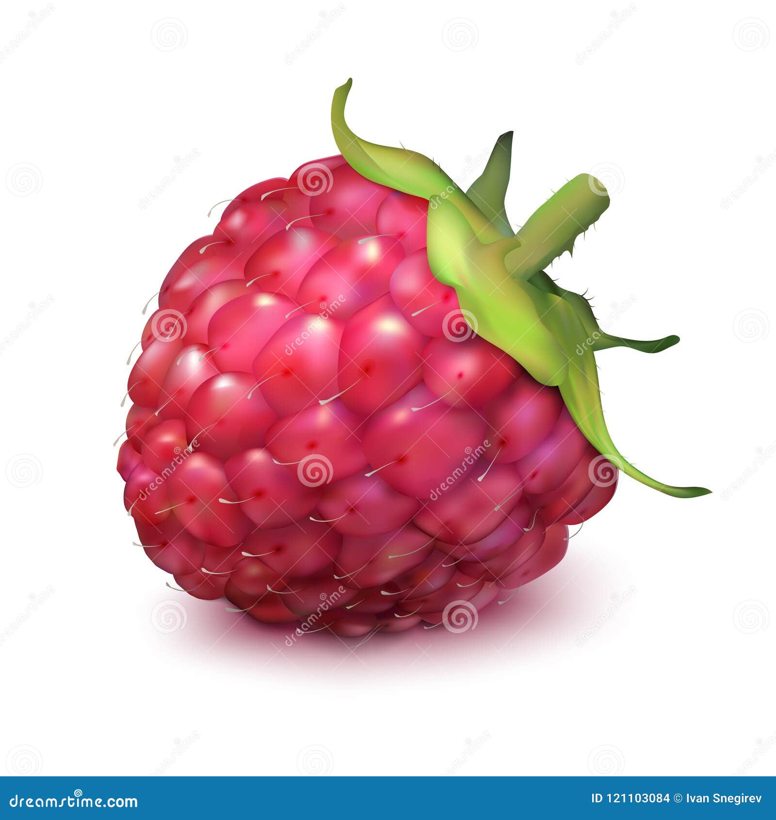 Realistic Raspberries Object Stock Vector - Illustration of eating ...