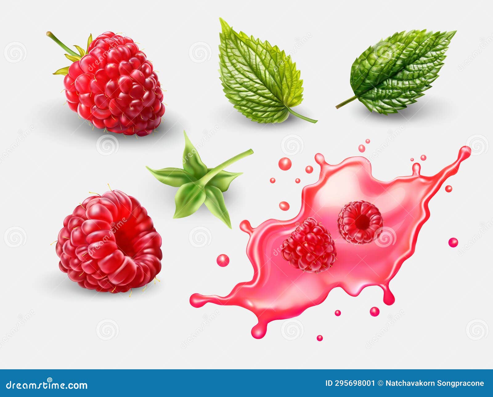 Realistic Raspberry Fruit with Leaf and Splash Vector Set on White ...