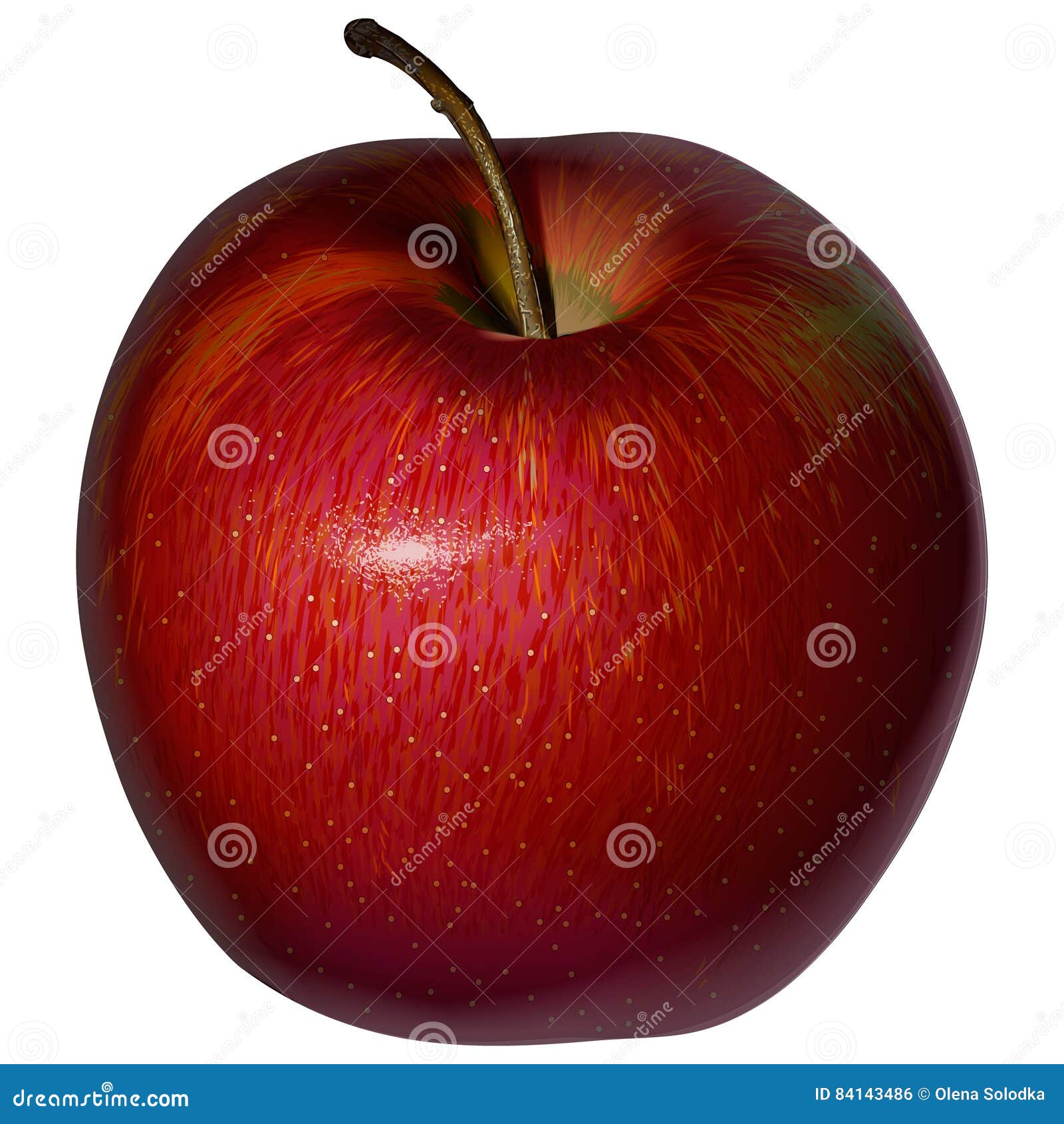 Realistic Red Apple on a Blank Background Stock Vector - Illustration ...