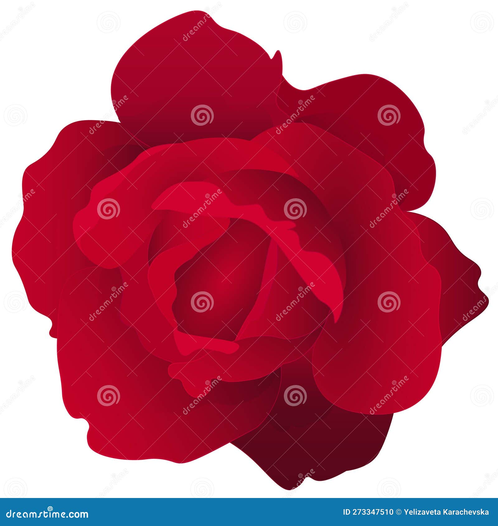 Realistic Red Rose Flower Vector Template Element Stock Vector ...